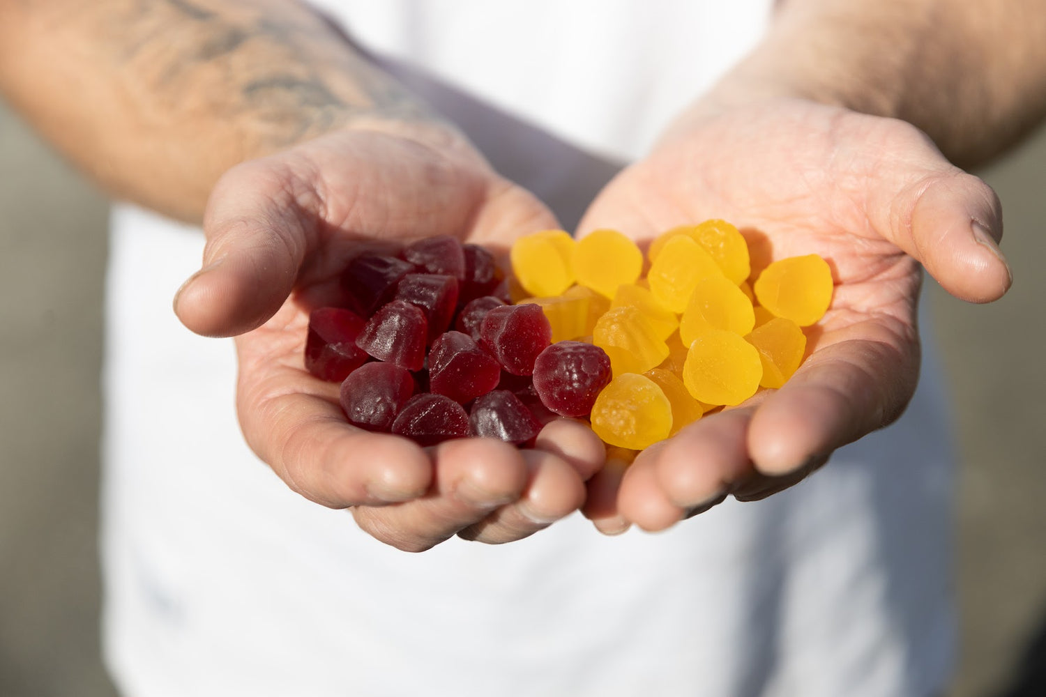 Clean supplement gummies – CLNFuel Gummies